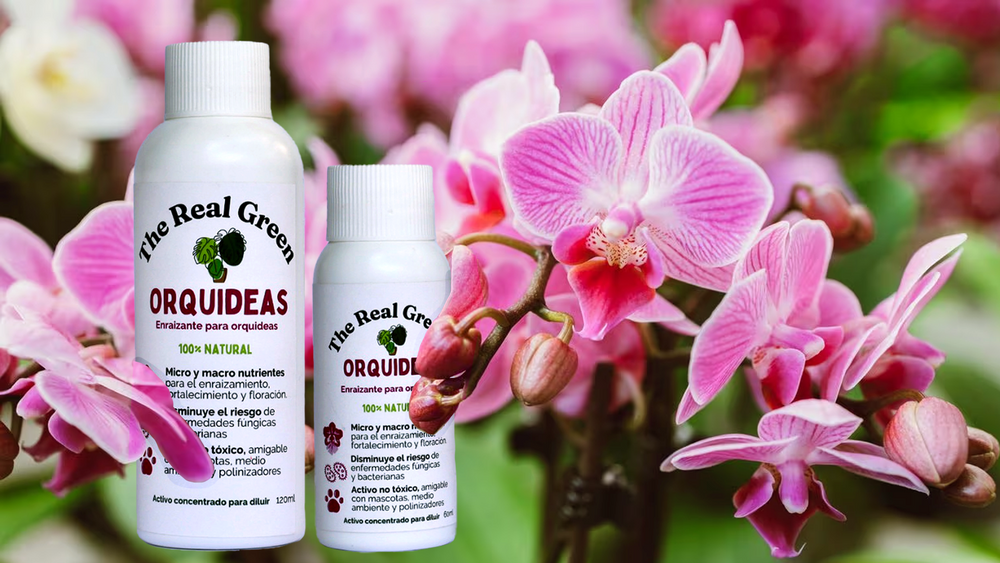 Productos 100% naturales para plantas y jardín