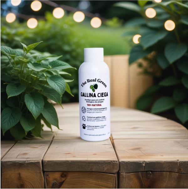 Productos - THE REAL GREEN